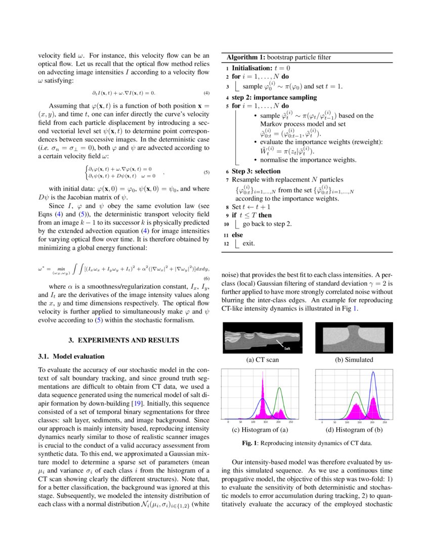 Level set based particle filter driven by optical flow: an application to track the salt ...