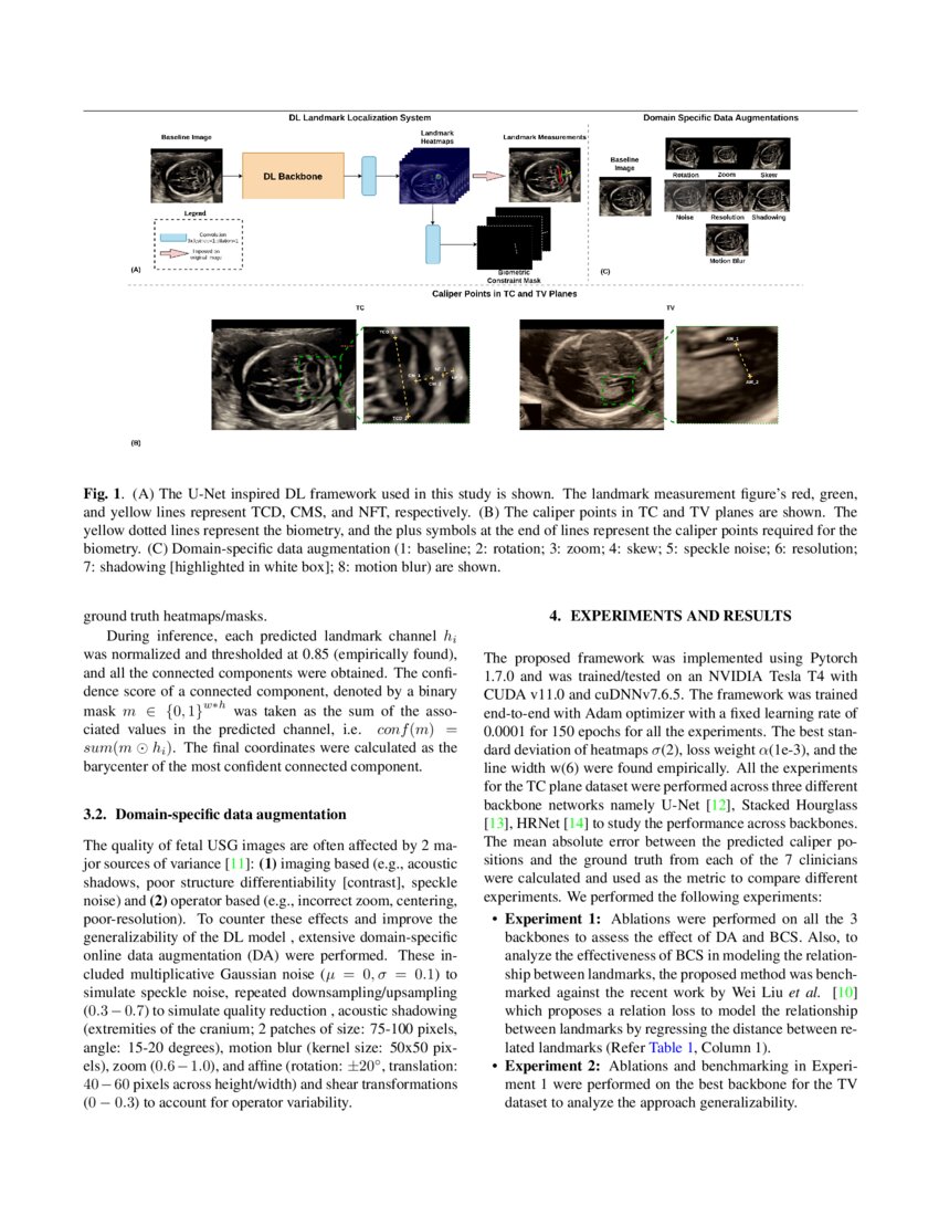 Leveraging Clinically Relevant Biometric Constraints To Supervise A ...