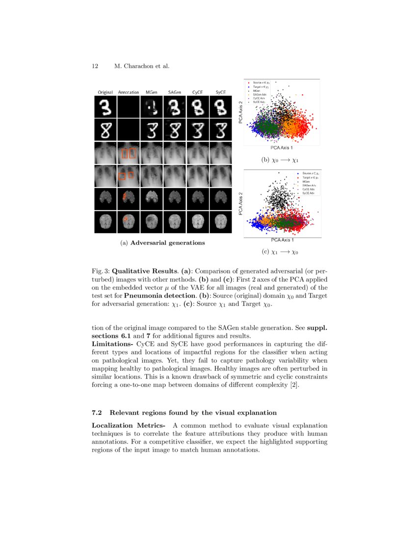 Leveraging Conditional Generative Models In A General Explanation Framework Of Classifier