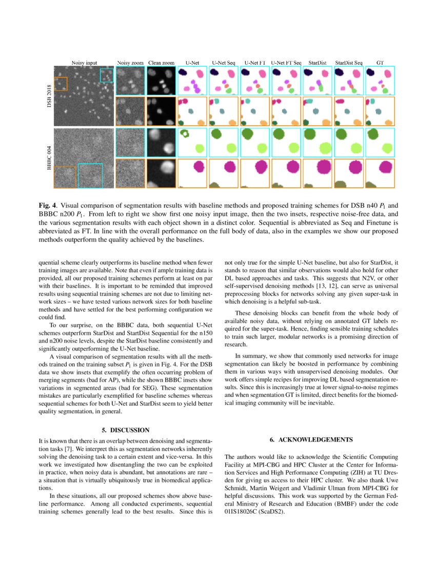 Leveraging Self-supervised Denoising for Image Segmentation | DeepAI