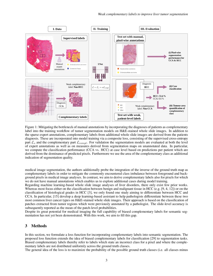 Leveraging weak complementary labels to improve semantic segmentation ...
