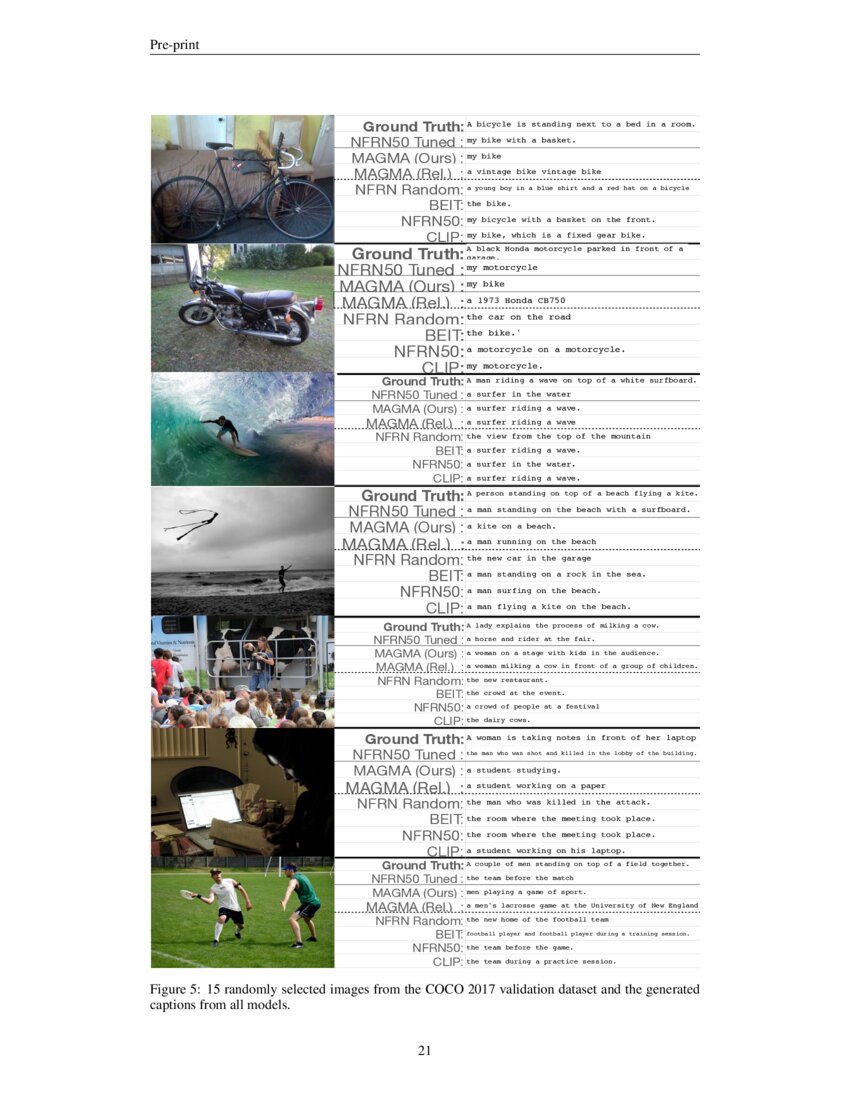 Linearly Mapping from Image to Text Space | DeepAI