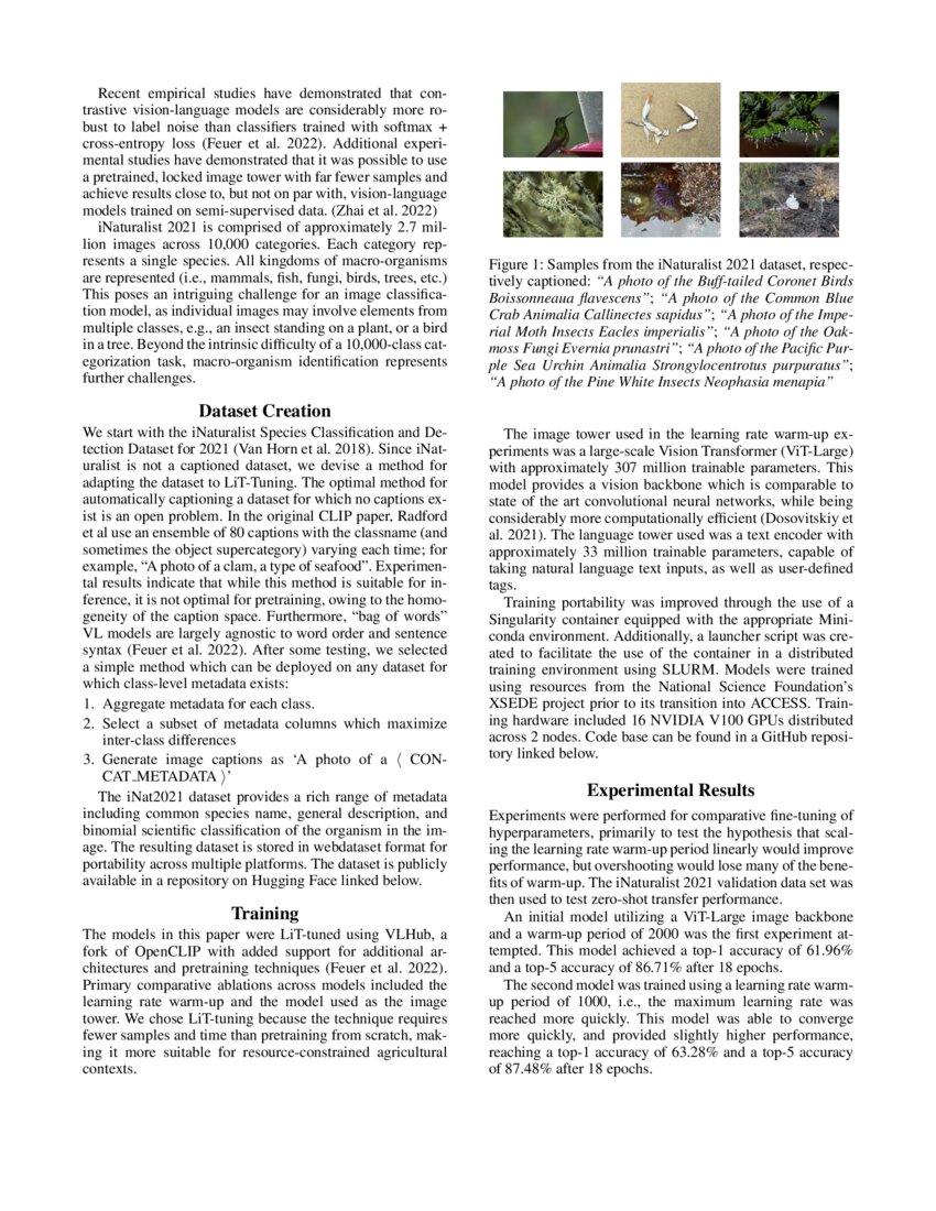 Lit Tuned Models For Efficient Species Detection Deepai