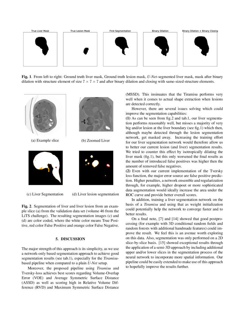Liver Lesion Segmentation With Slice Wise 2d Tiramisu And Tversky Loss Function Deepai