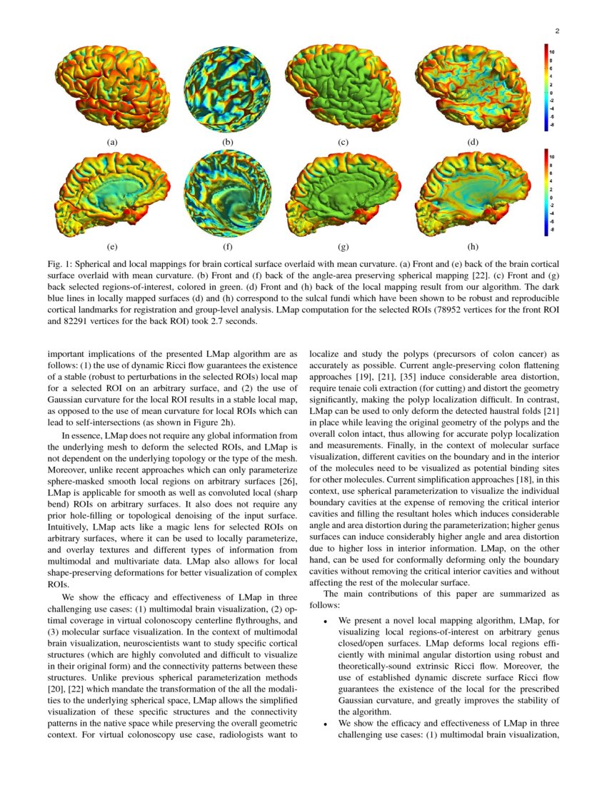 LMap: Shape-Preserving Local Mappings for Biomedical Visualization | DeepAI