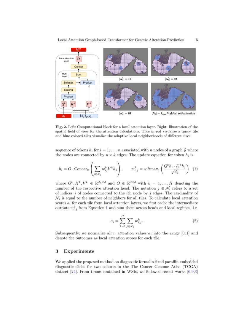 Local Attention Graph-based Transformer for Multi-target Genetic Alteration Prediction | DeepAI