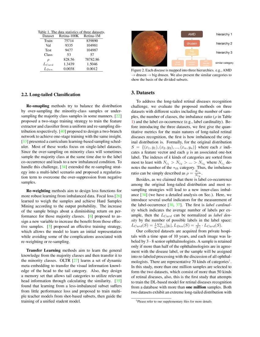 Long-Tailed Multi-Label Retinal Diseases Recognition Using Hierarchical ...