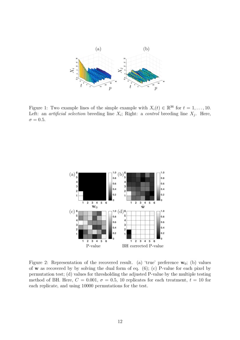 Longitudinal Support Vector Machines for High Dimensional Time Series ...