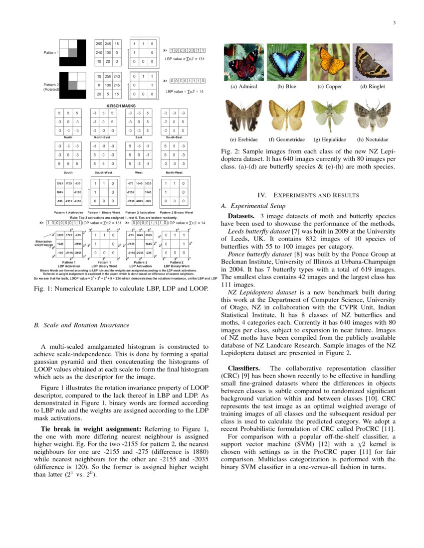 LOOP Descriptor: Encoding Repeated Local Patterns for Fine-grained Visual Identification of ...