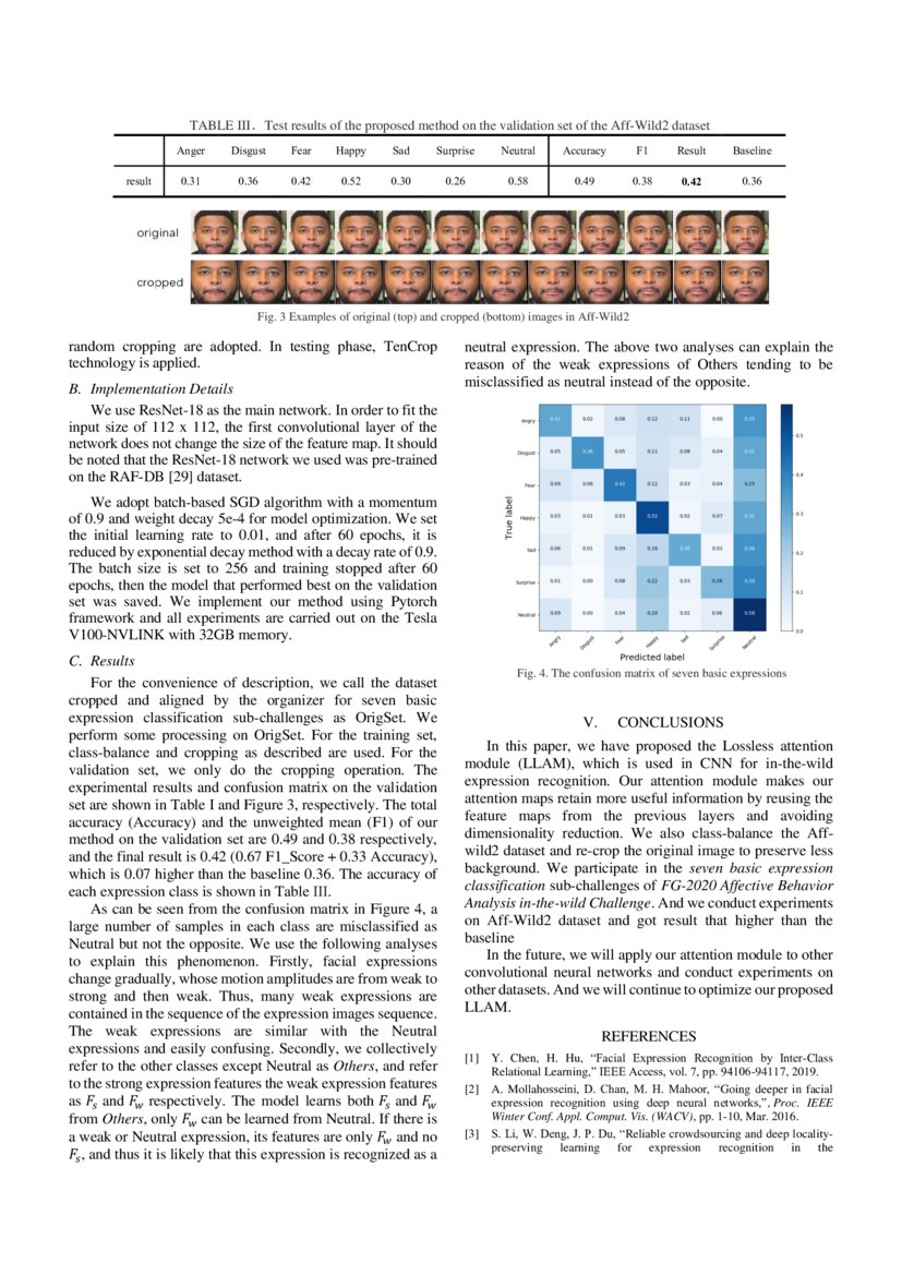 Lossless Attention in Convolutional Networks for Facial Expression Recognition in the Wild | DeepAI