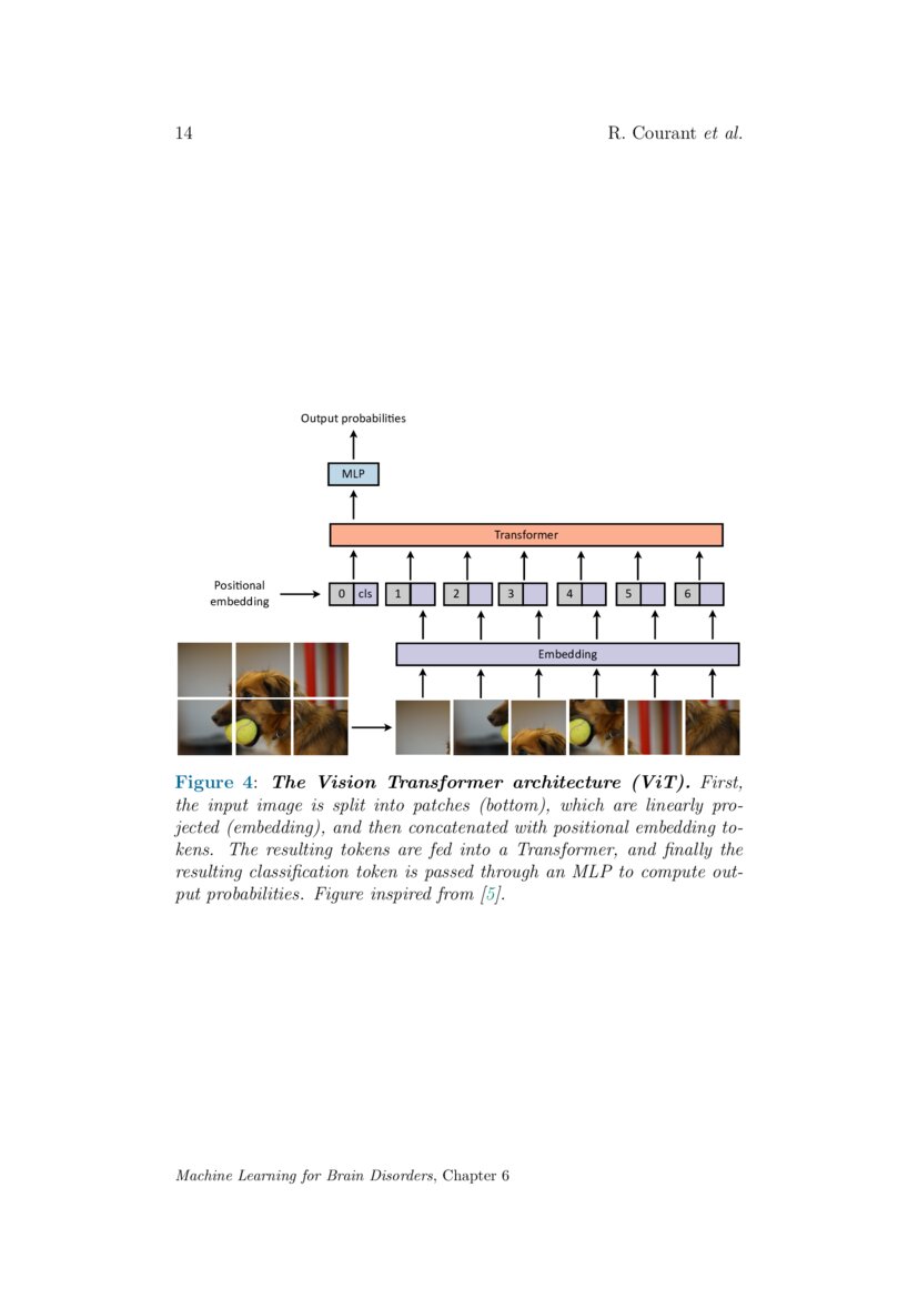 Machine Learning for Brain Disorders: Transformers and Visual ... Machine Learning for Brain Disorders: Transformers and Visual ...