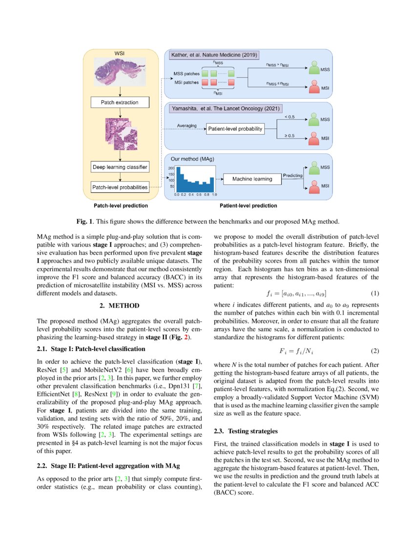 MAg: a simple learning-based patient-level aggregation method for detecting microsatellite ...