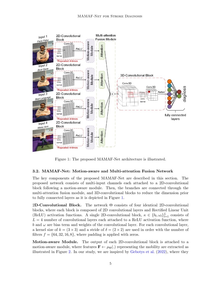 MAMAF-Net: Motion-Aware and Multi-Attention Fusion Network for Stroke Diagnosis | DeepAI
