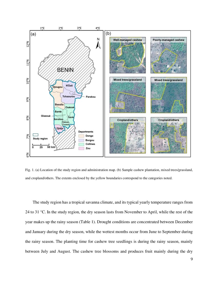 Mapping smallholder cashew plantations to inform sustainable tree crop ...