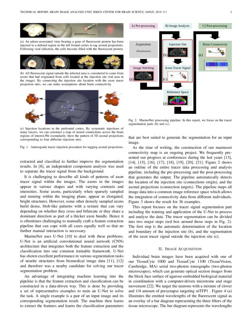 MarmoNet: a pipeline for automated projection mapping of the common ...