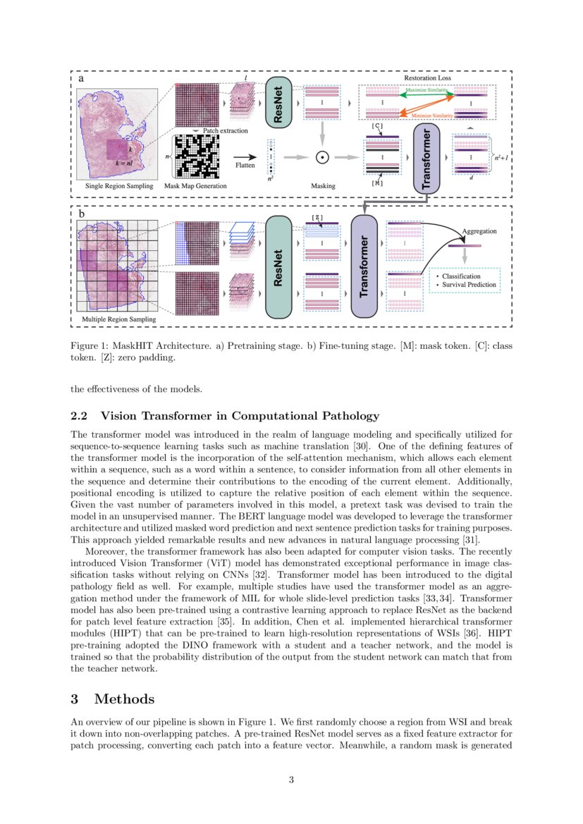 Masked Pre-Training of Transformers for Histology Image Analysis | DeepAI