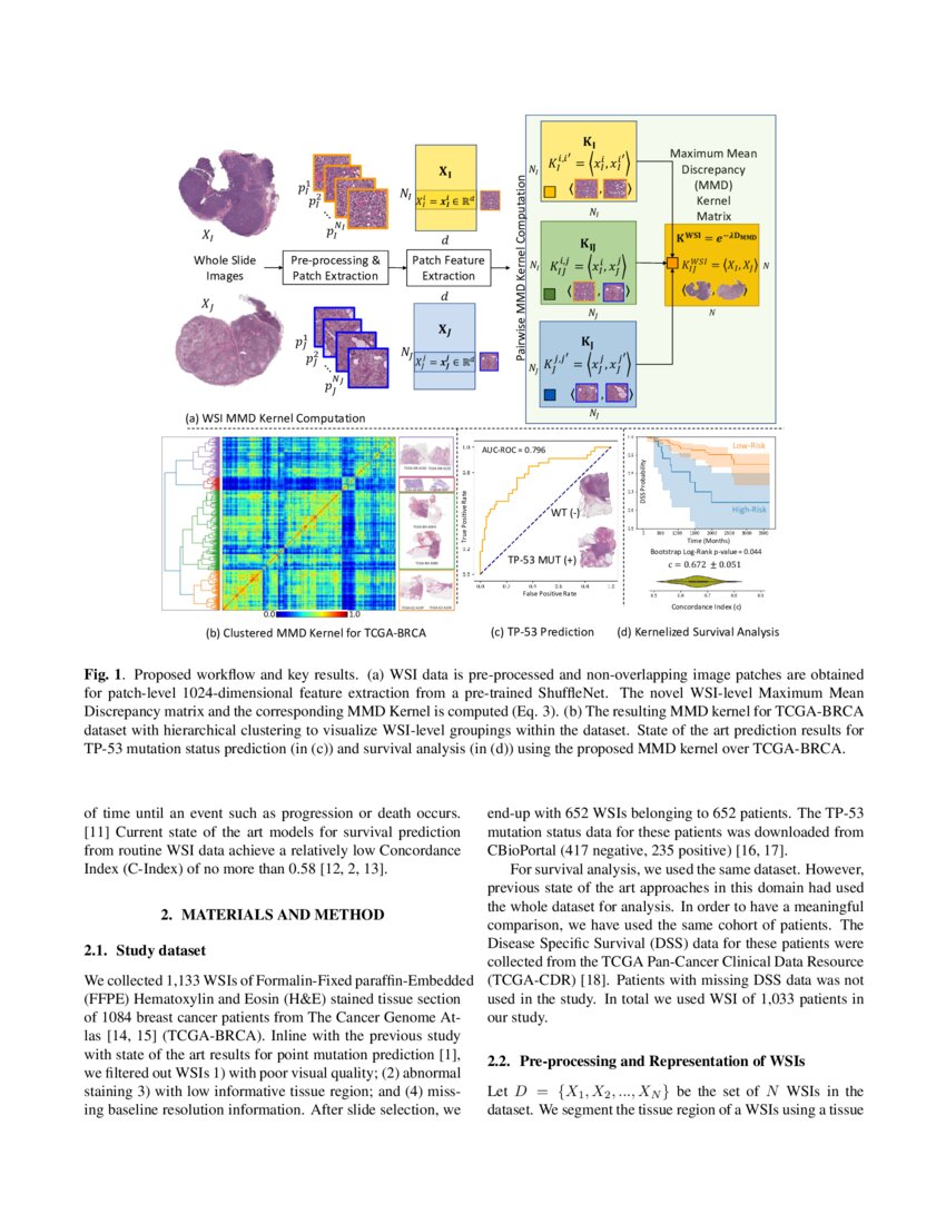 Maximum Mean Discrepancy Kernels for Predictive and Prognostic Modeling of Whole Slide Images ...