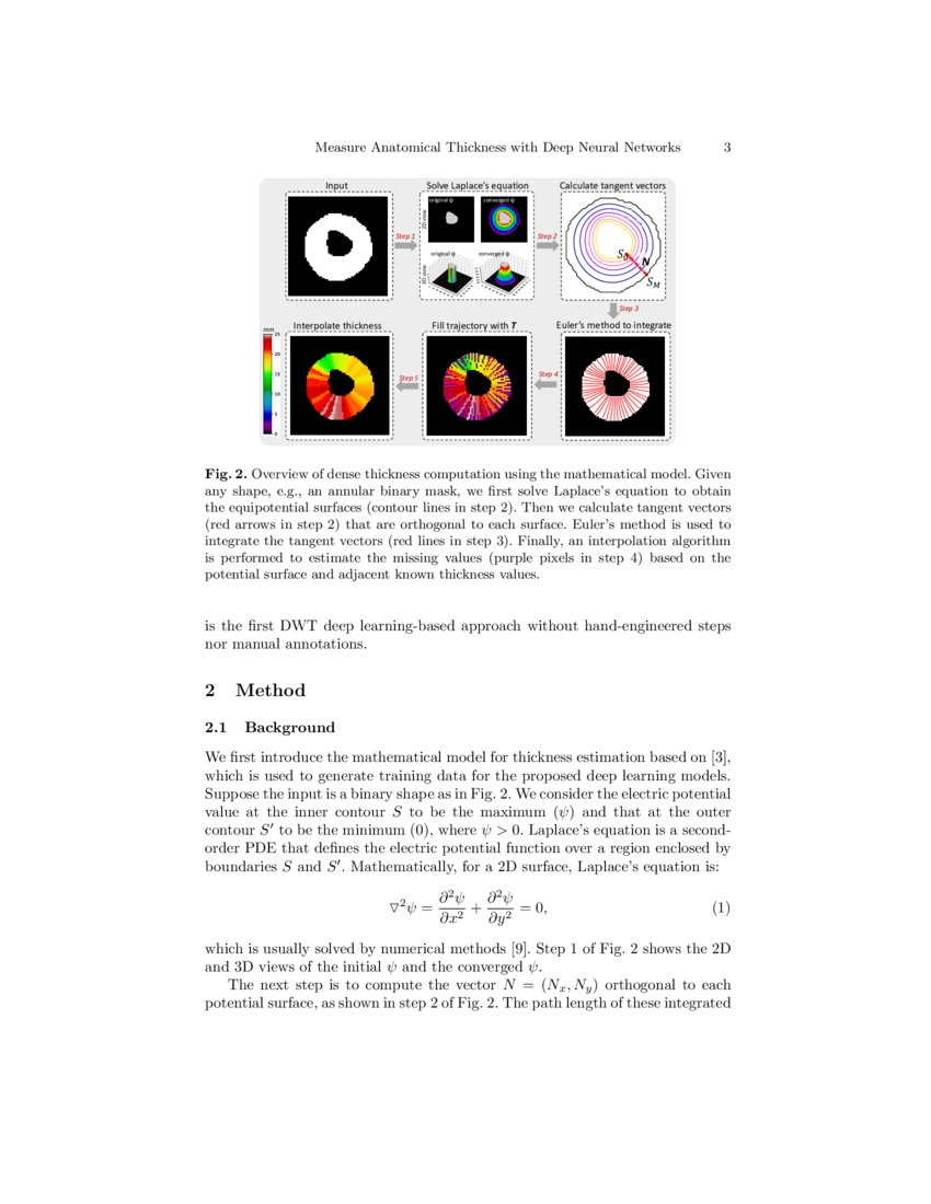 Measure Anatomical Thickness From Cardiac Mri With Deep Neural Networks