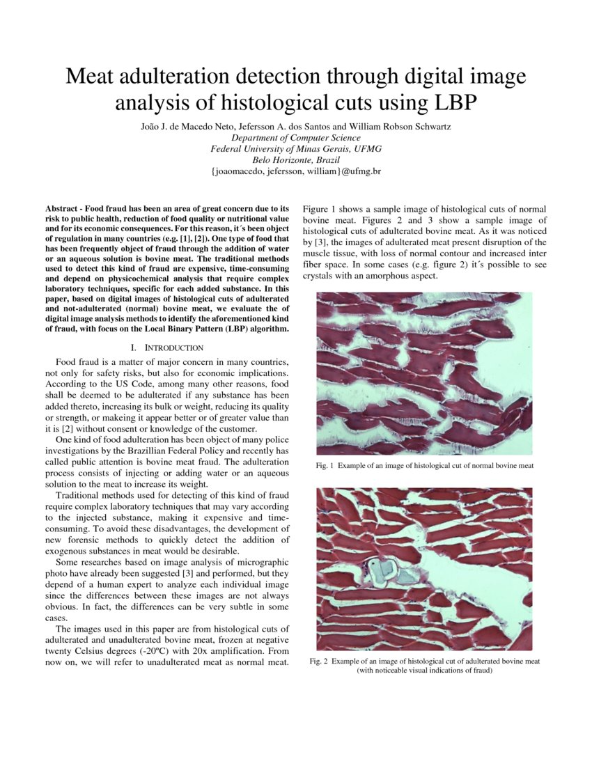 Meat Adulteration Detection Through Digital Image Analysis Of
