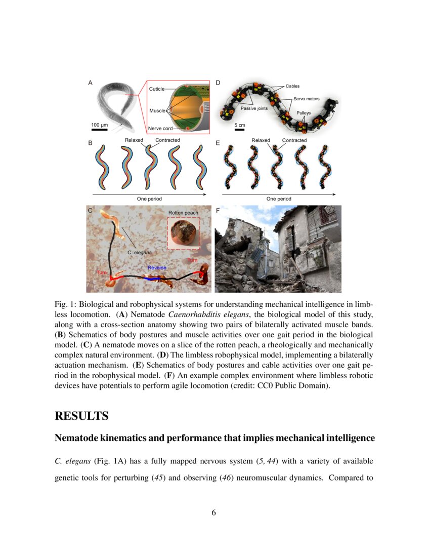 Mechanical Intelligence Simplifies Control in Terrestrial Limbless ...
