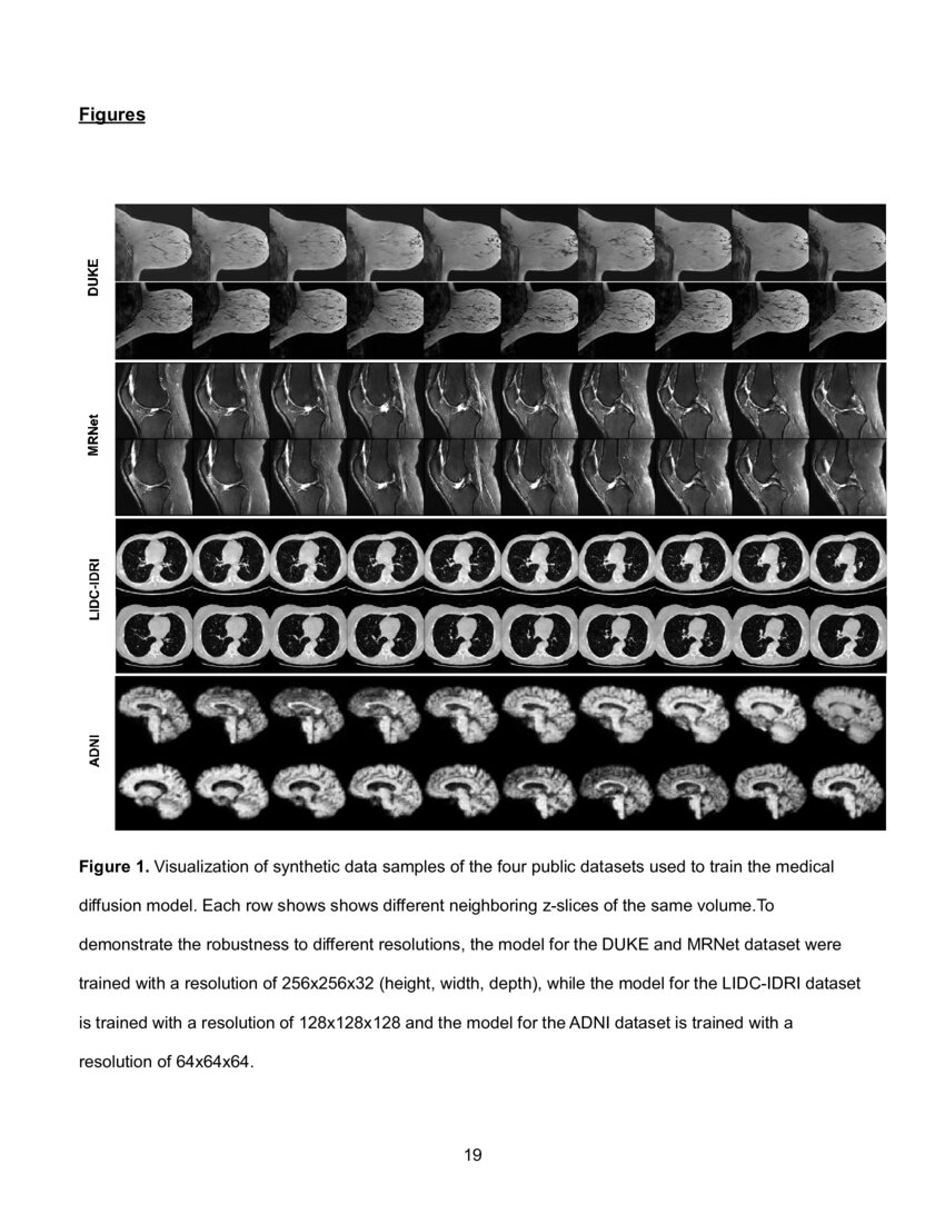 Medical Diffusion – Denoising Diffusion Probabilistic Models for 3D ...