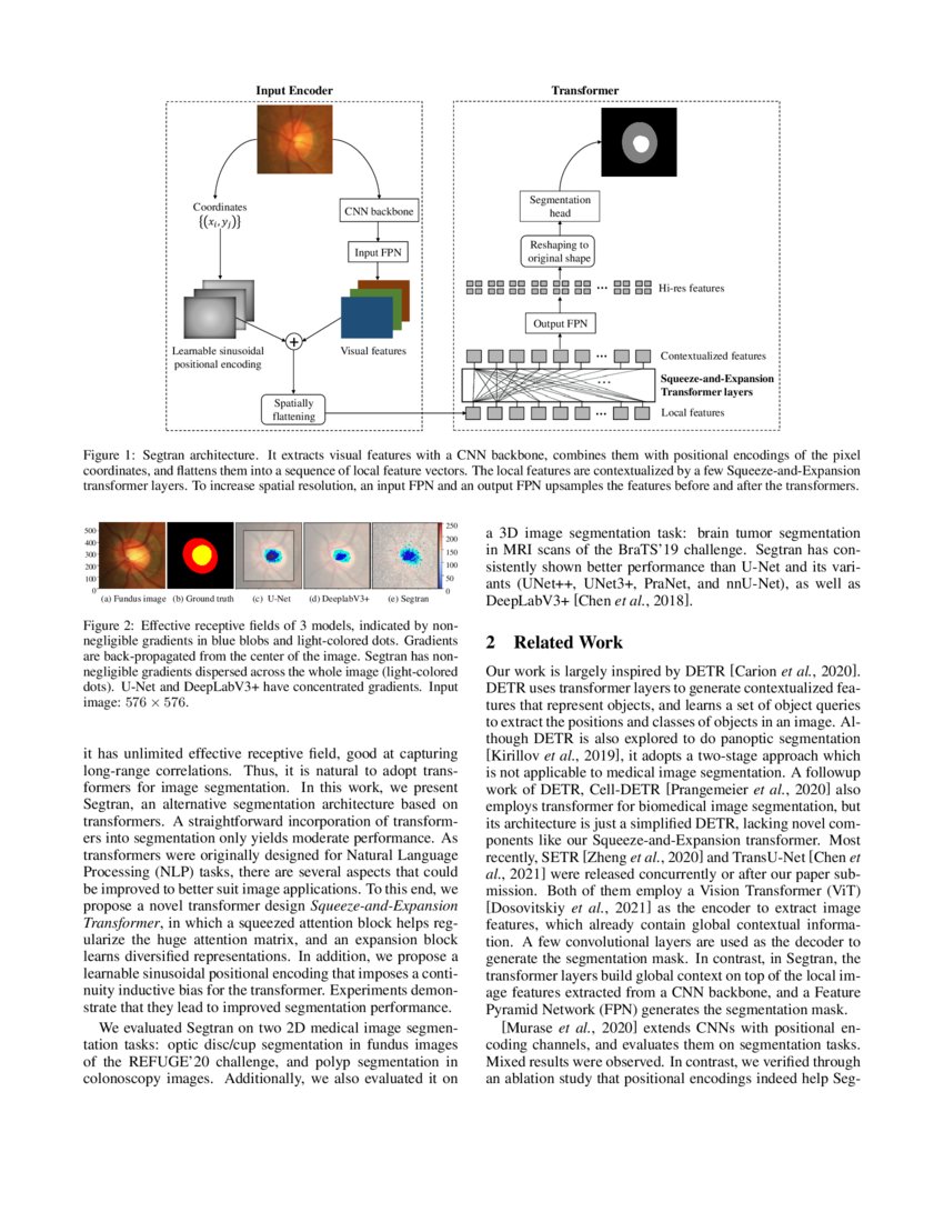 Medical Image Segmentation Using Squeeze And Expansion Transformers Deepai