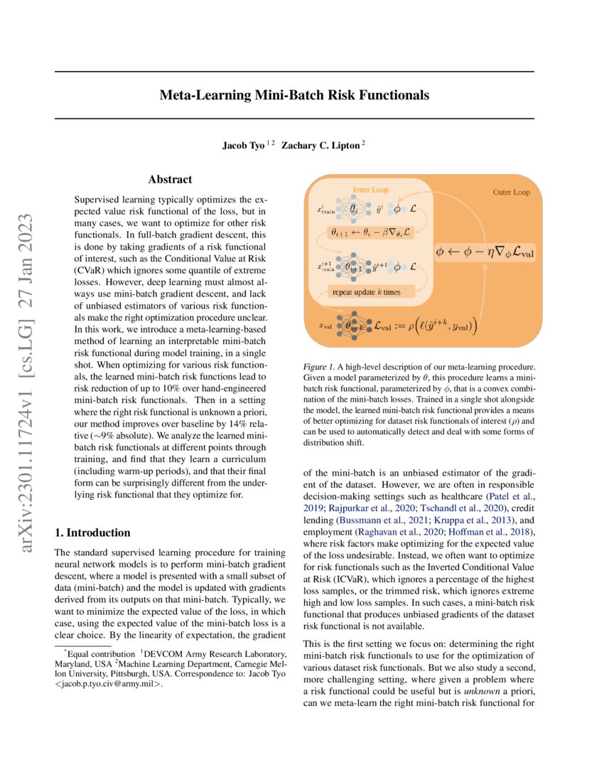 Meta-Learning Mini-Batch Risk Functionals | DeepAI