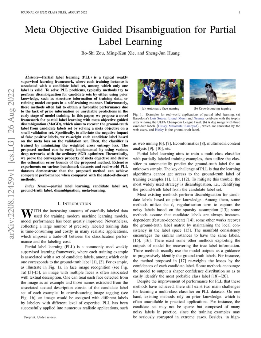 Meta Objective Guided Disambiguation for Partial Label Learning | DeepAI