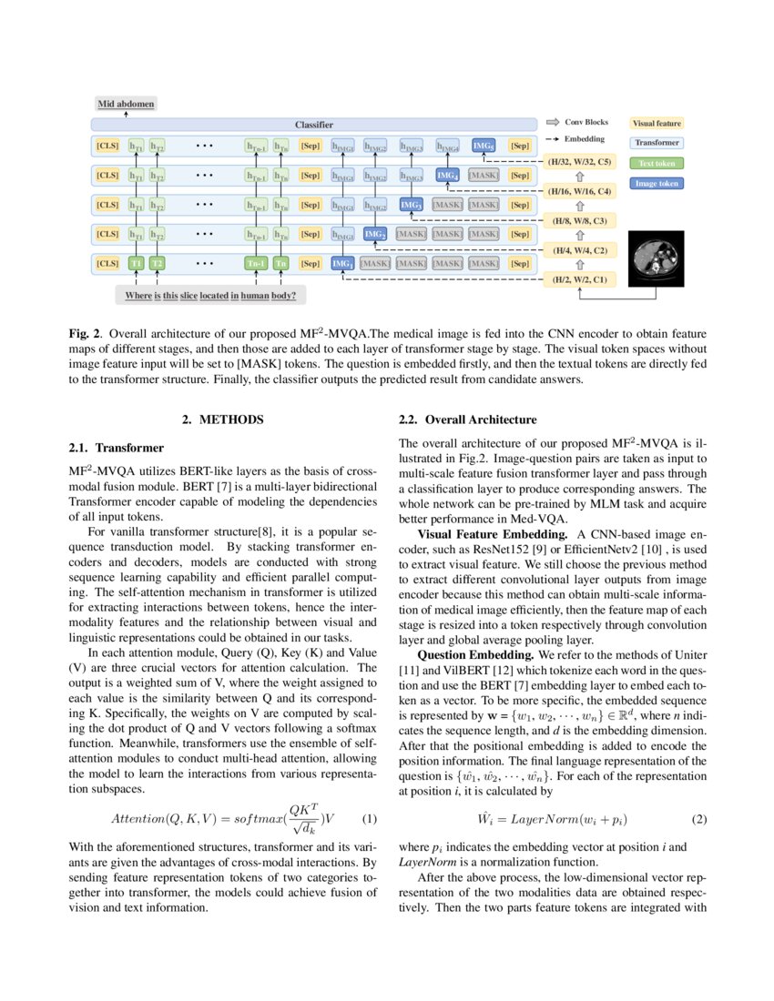MF2-MVQA: A Multi-stage Feature Fusion method for Medical Visual Question Answering | DeepAI