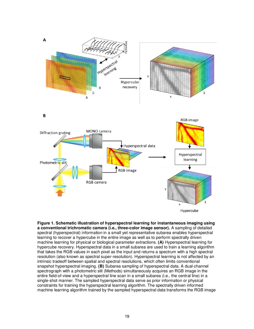 mHealth hyperspectral learning for instantaneous spatiospectral imaging of hemodynamics | DeepAI