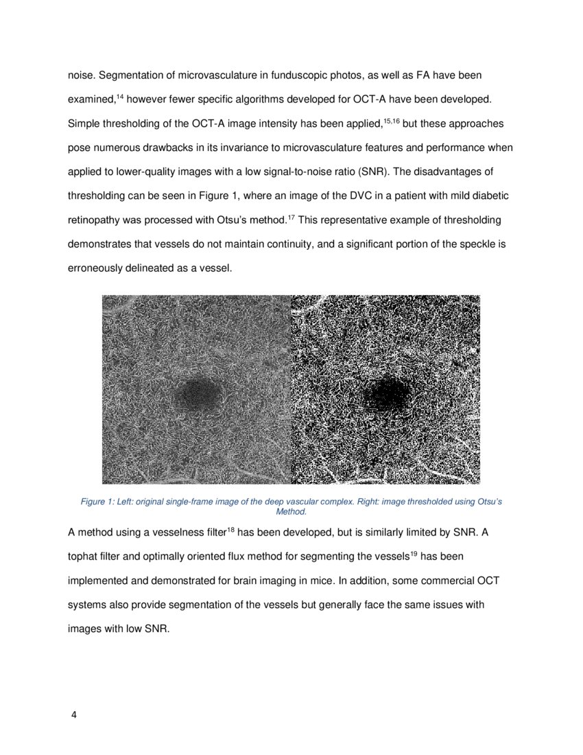 Microvasculature Segmentation and Inter-capillary Area Quantification ...