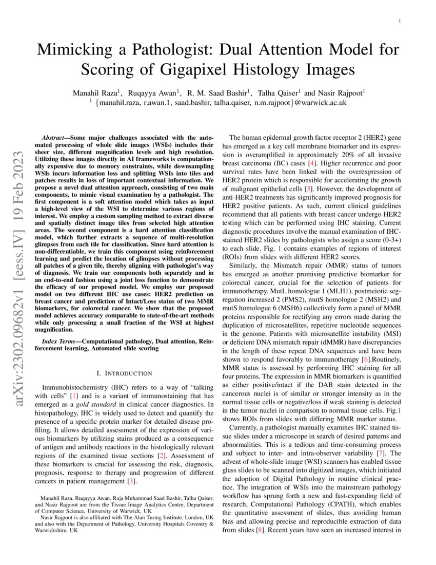 Mimicking a Pathologist: Dual Attention Model for Scoring of Gigapixel ...