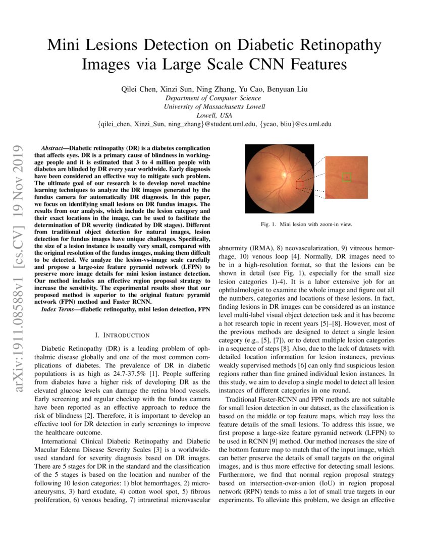 Mini Lesions Detection on Diabetic Retinopathy Images via Large Scale CNN Features | DeepAI
