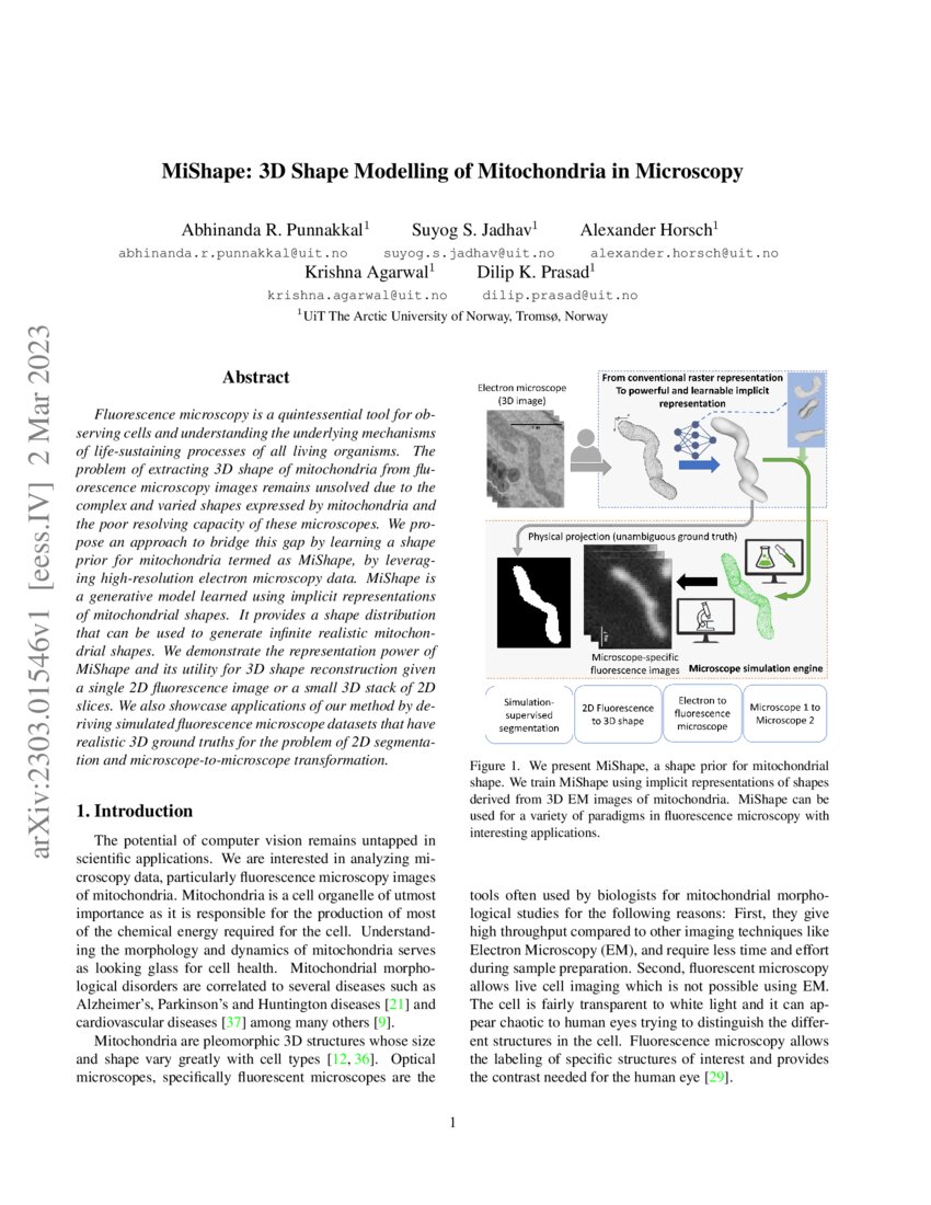 MiShape: 3D Shape Modelling of Mitochondria in Microscopy | DeepAI