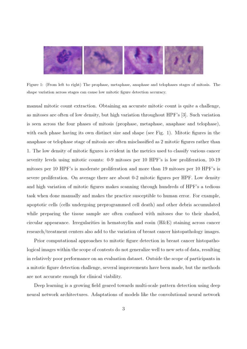 Mitos Rcnn A Novel Approach To Mitotic Figure Detection In Breast