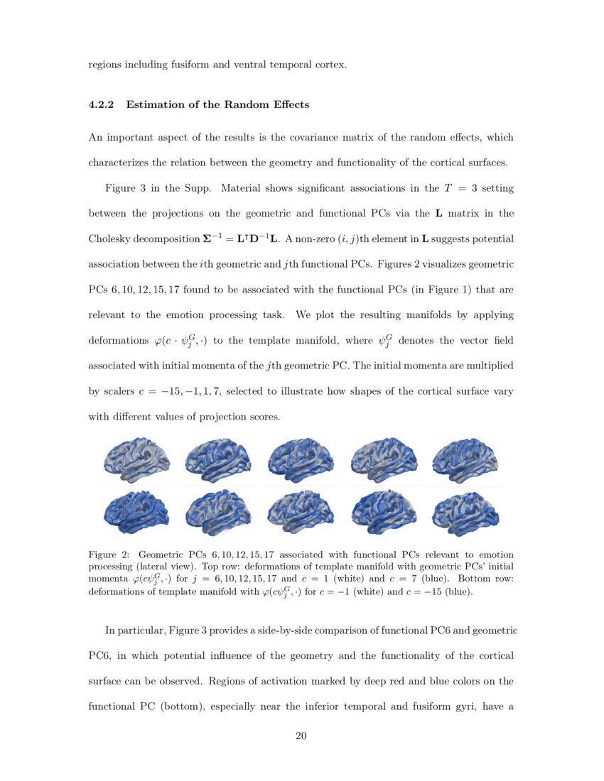 Mixed Effects Model for Functional Surfaces with Applications to Cortical Surface Task fMRI | DeepAI