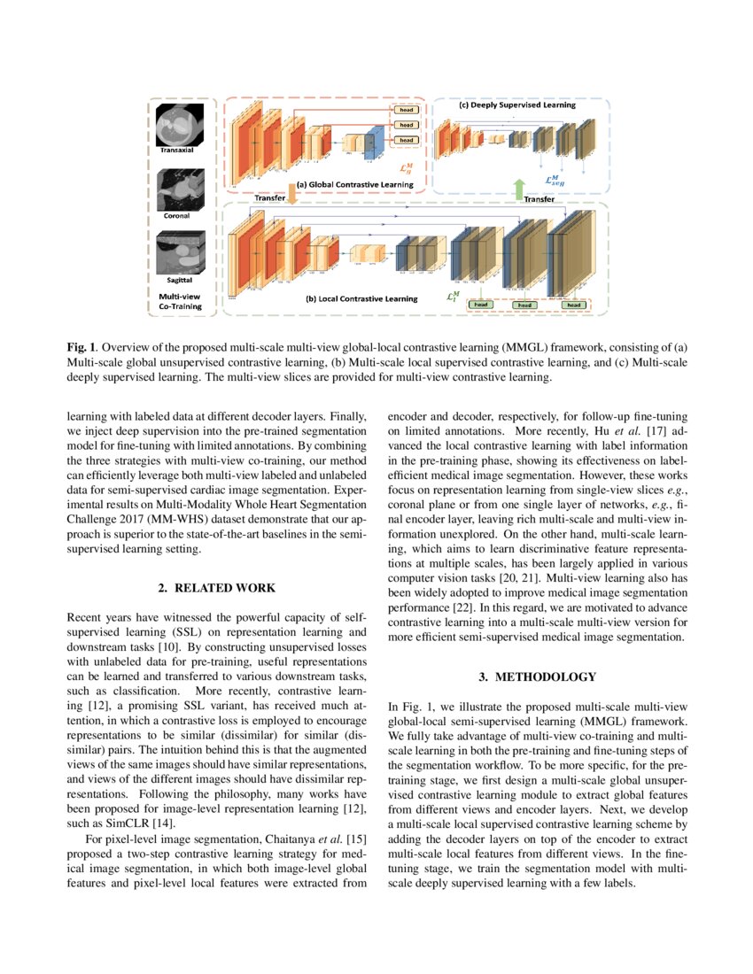 MMGL: Multi-Scale Multi-View Global-Local Contrastive learning for Semi ...