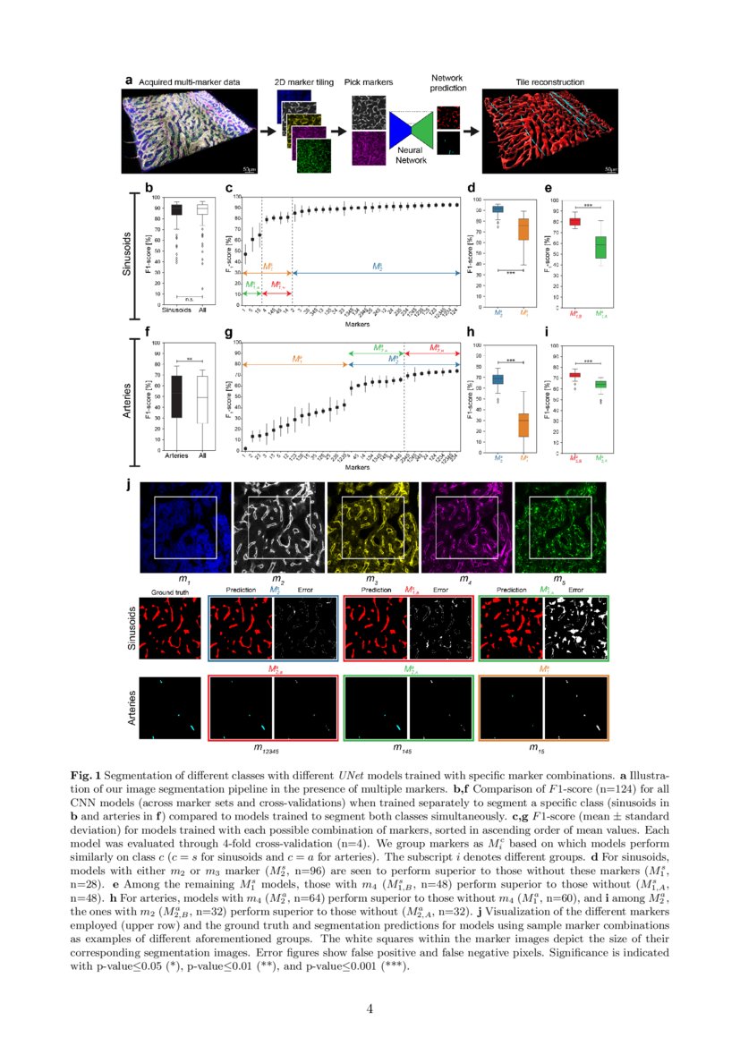 Modality Attention and Sampling Enables Deep Learning with ...