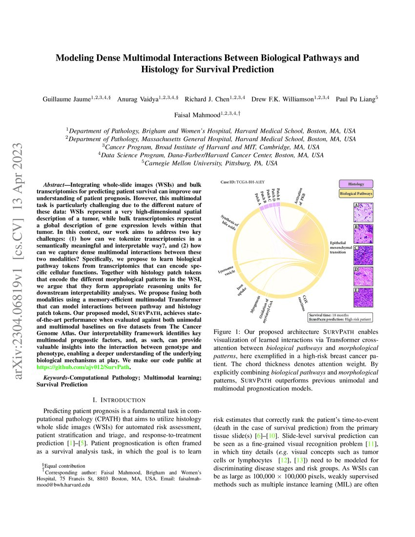 Modeling Dense Multimodal Interactions Between Biological Pathways and ... Modeling Dense Multimodal Interactions Between Biological Pathways and ...