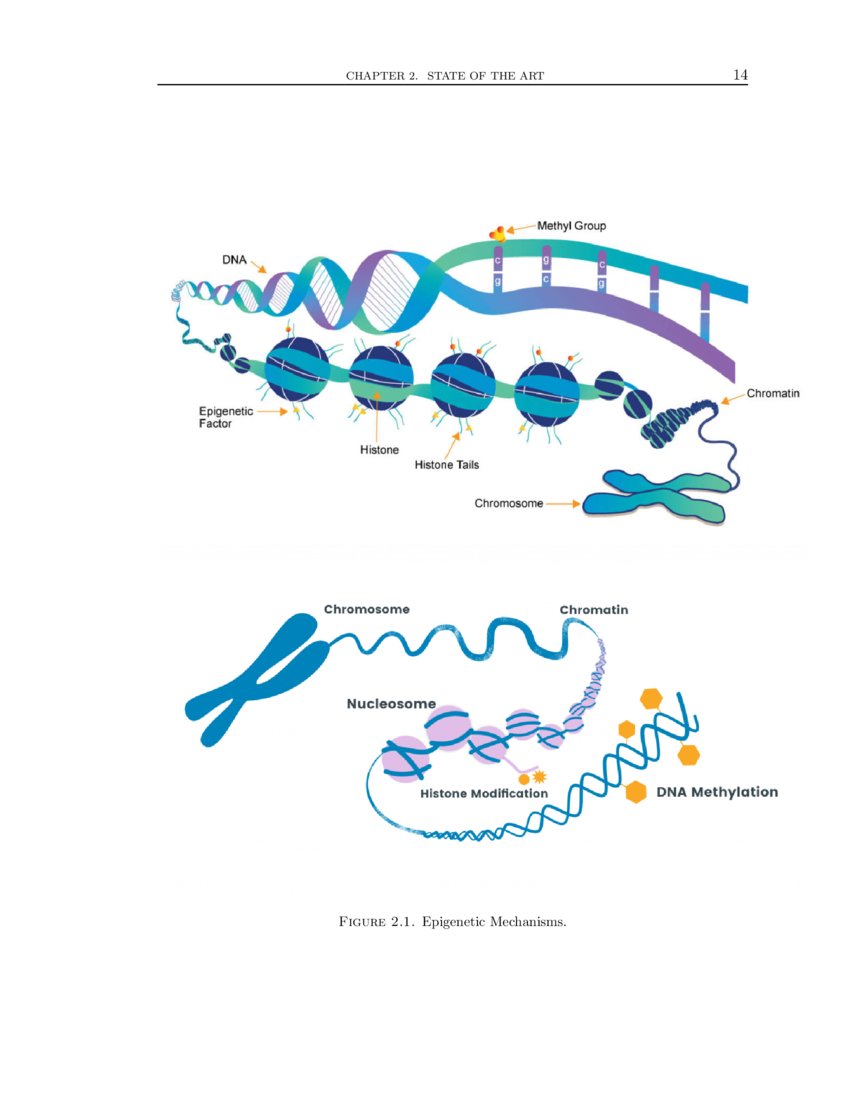 Modeling epigenetic evolutionary algorithms: An approach based on the ...