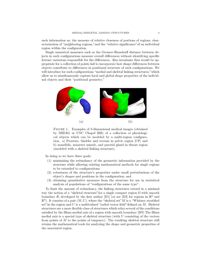 Modeling Multi-Object Configurations via Medial/Skeletal Linking ...