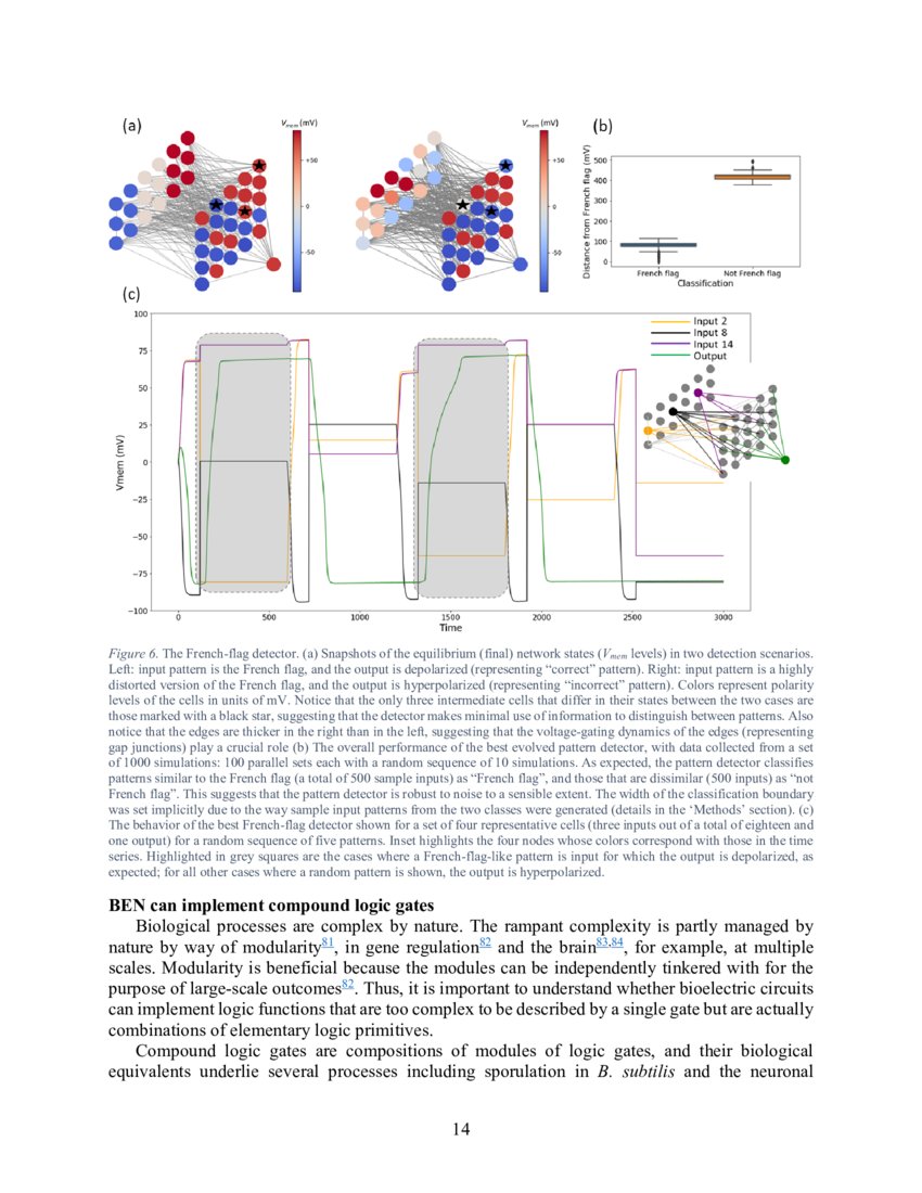 Modeling somatic computation with non-neural bioelectric networks | DeepAI