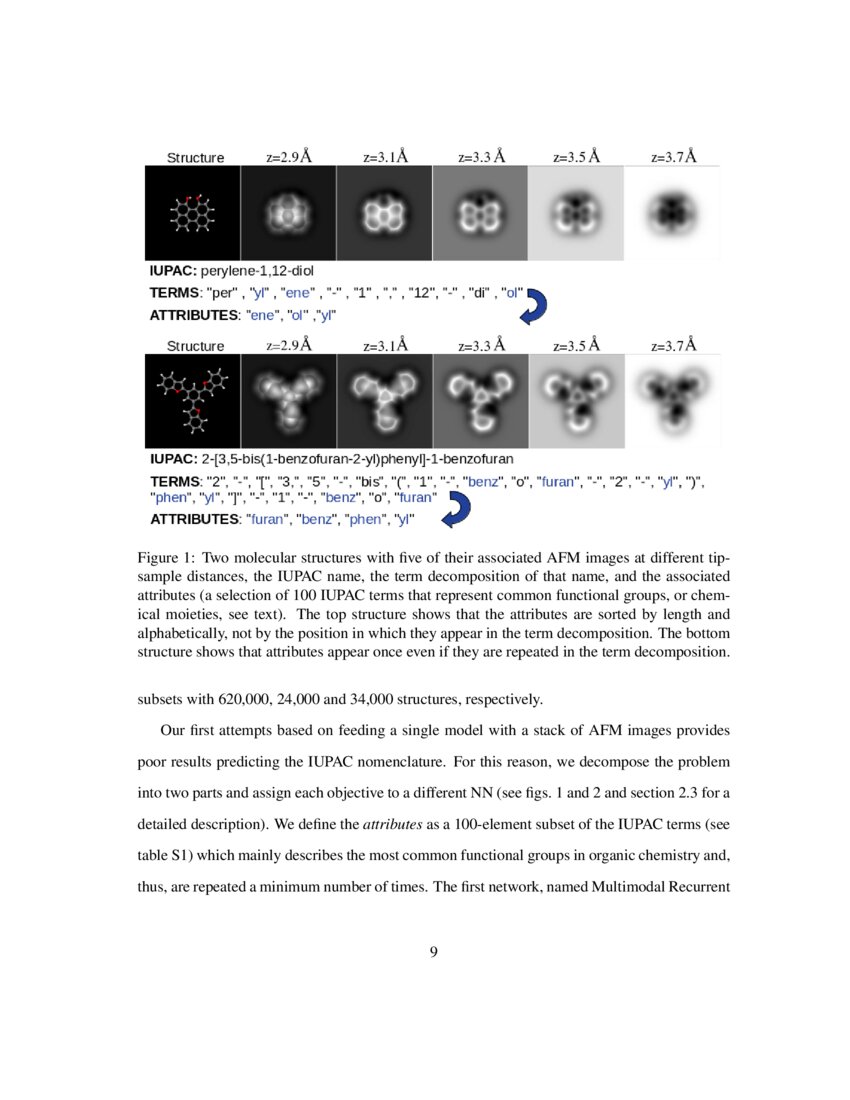 Molecular Identification From Afm Images Using The Iupac Nomenclature And Attribute Multimodal