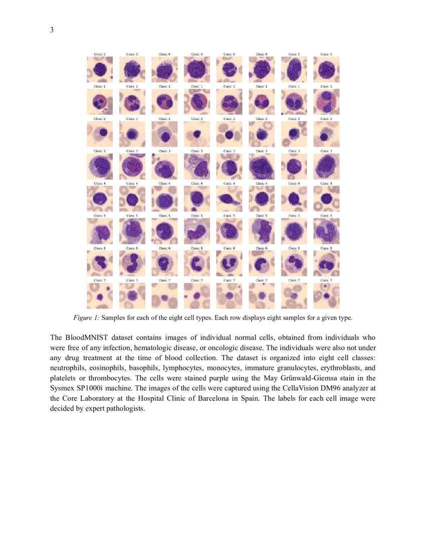 More For Less Compact Convolutional Transformers Enable Robust Medical Image Classification