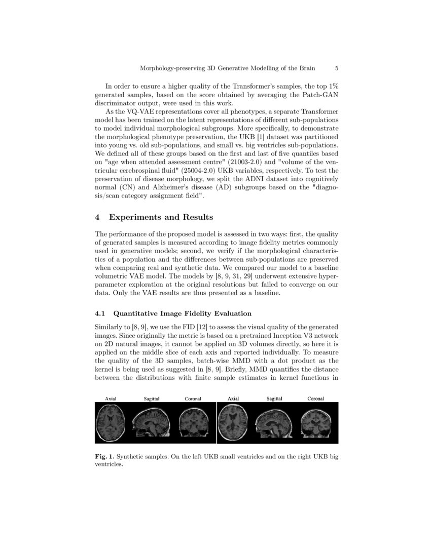 Morphology Preserving Autoregressive 3d Generative Modelling Of The