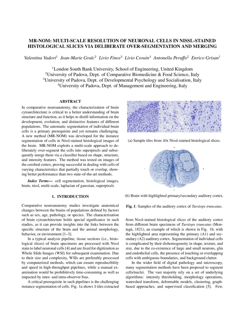 MR-NOM: Multi-scale Resolution of Neuronal cells in Nissl-stained histological slices via ...