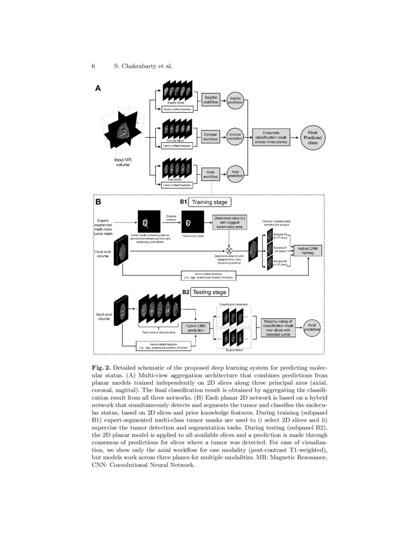 Mri Based Classification Of Idh Mutation And 1p19q Codeletion Status Of Gliomas Using A 25d