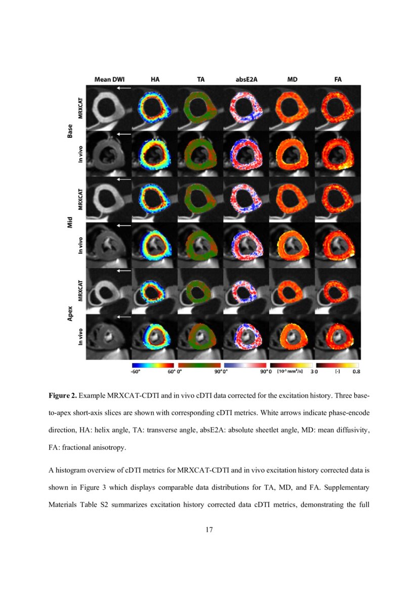 MRXCAT-CDTI: A Numerical Cardiac Diffusion Tensor Imaging Phantom | DeepAI