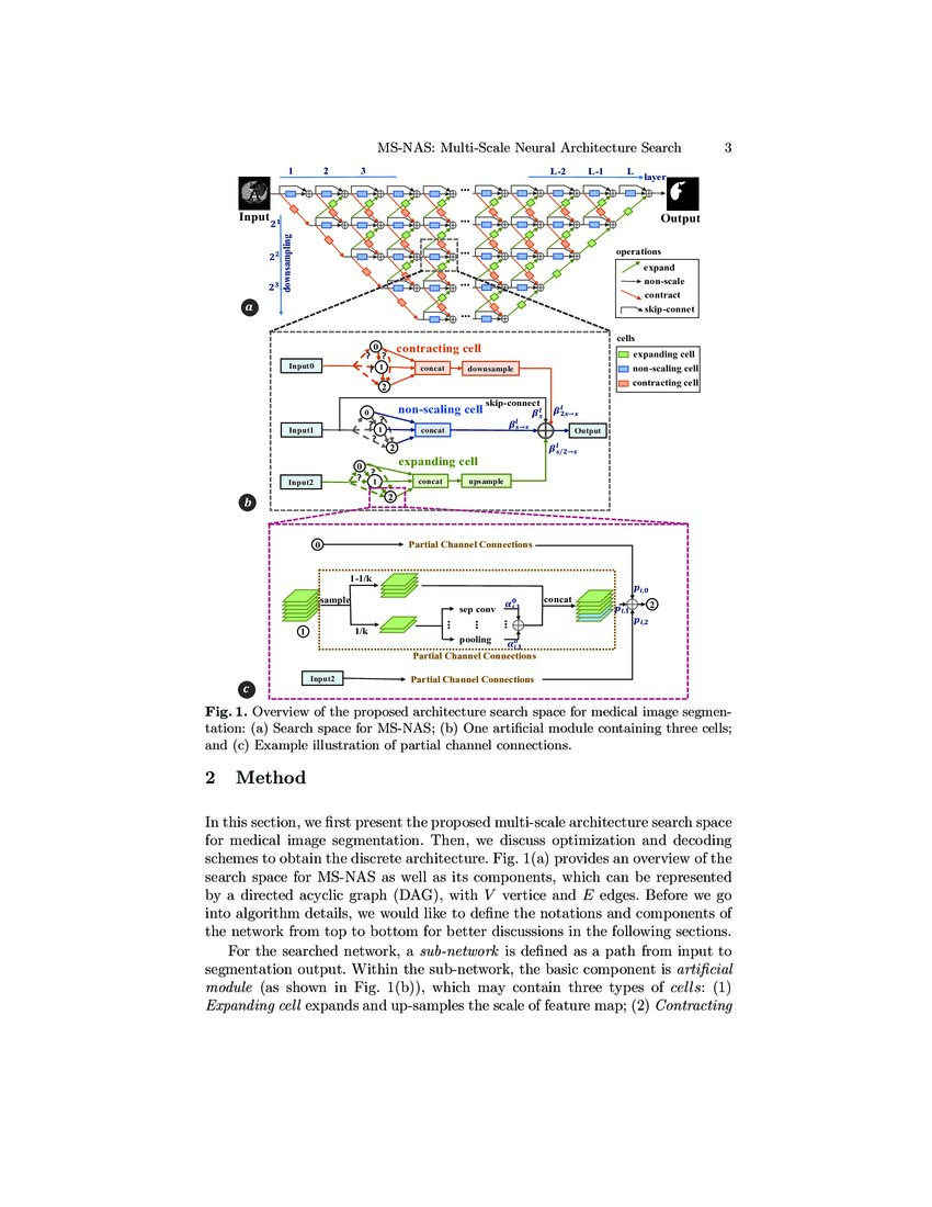 MS-NAS: Multi-Scale Neural Architecture Search for Medical Image ...