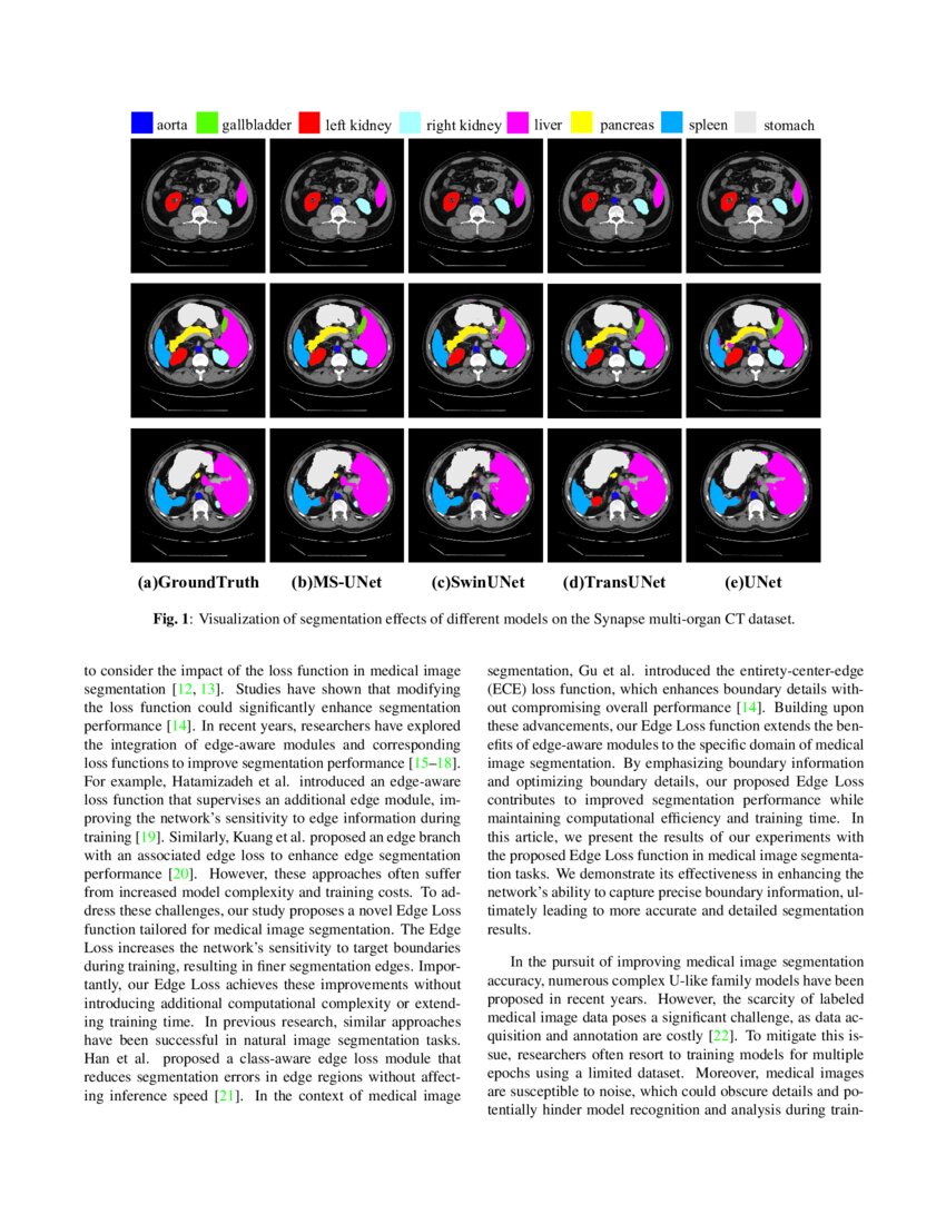 MS-UNet-v2: Adaptive Denoising Method and Training Strategy for Medical Image Segmentation with ...